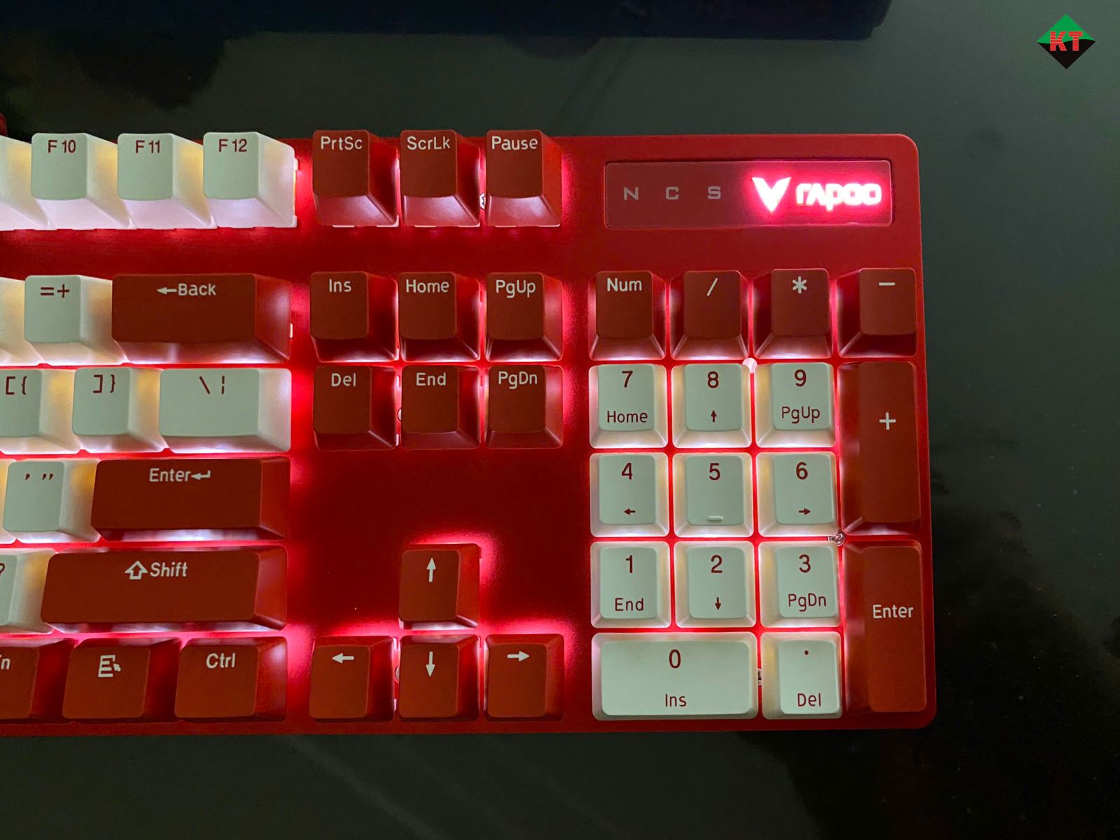 Bàn Phím Cơ Gaming Rapoo V500 Pro (Bản Đỏ - Trắng)